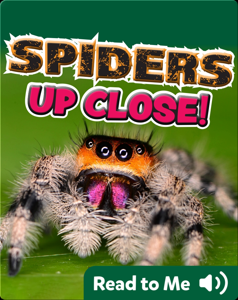 Spiders Up Close Book by Alan Walker | Epic