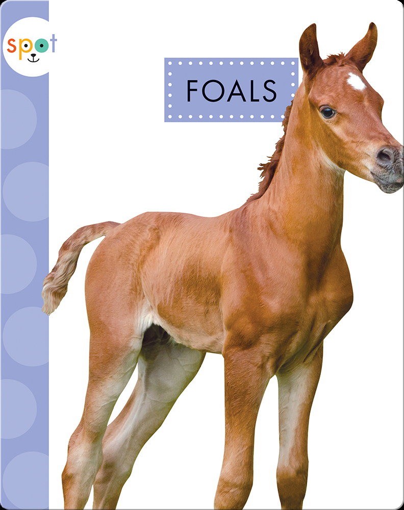 Baby Farm Animals: Foals Book by Anastasia Suen | Epic