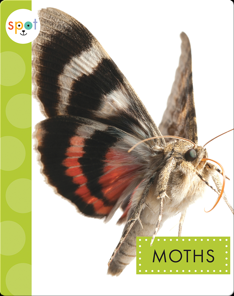Creepy Crawlies: Moths Book by Nessa Black | Epic