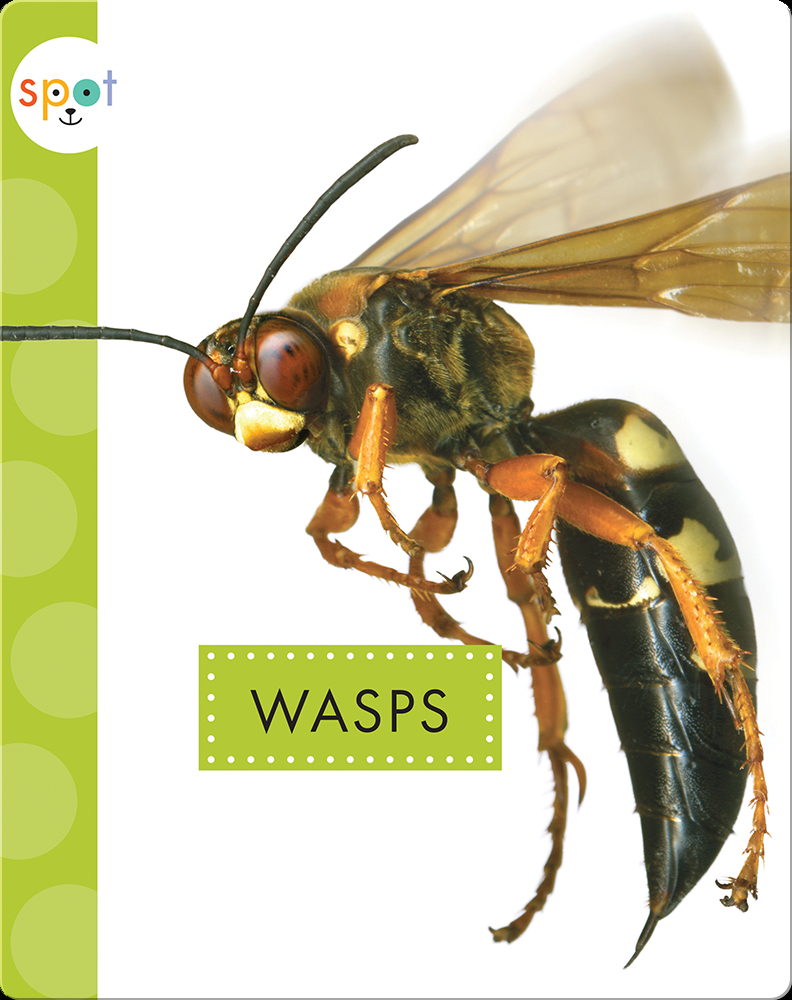 Creepy Crawlies: Wasps Book by Nessa Black | Epic