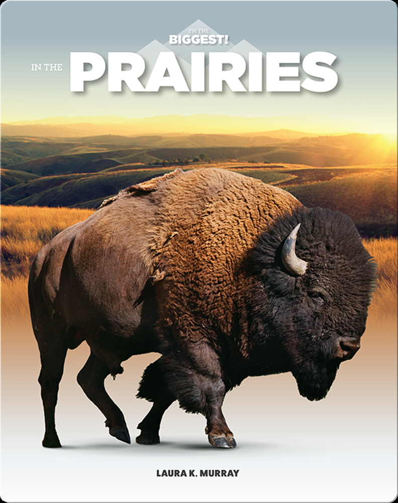 On The Prairies Book by Laura K. Murray | Epic