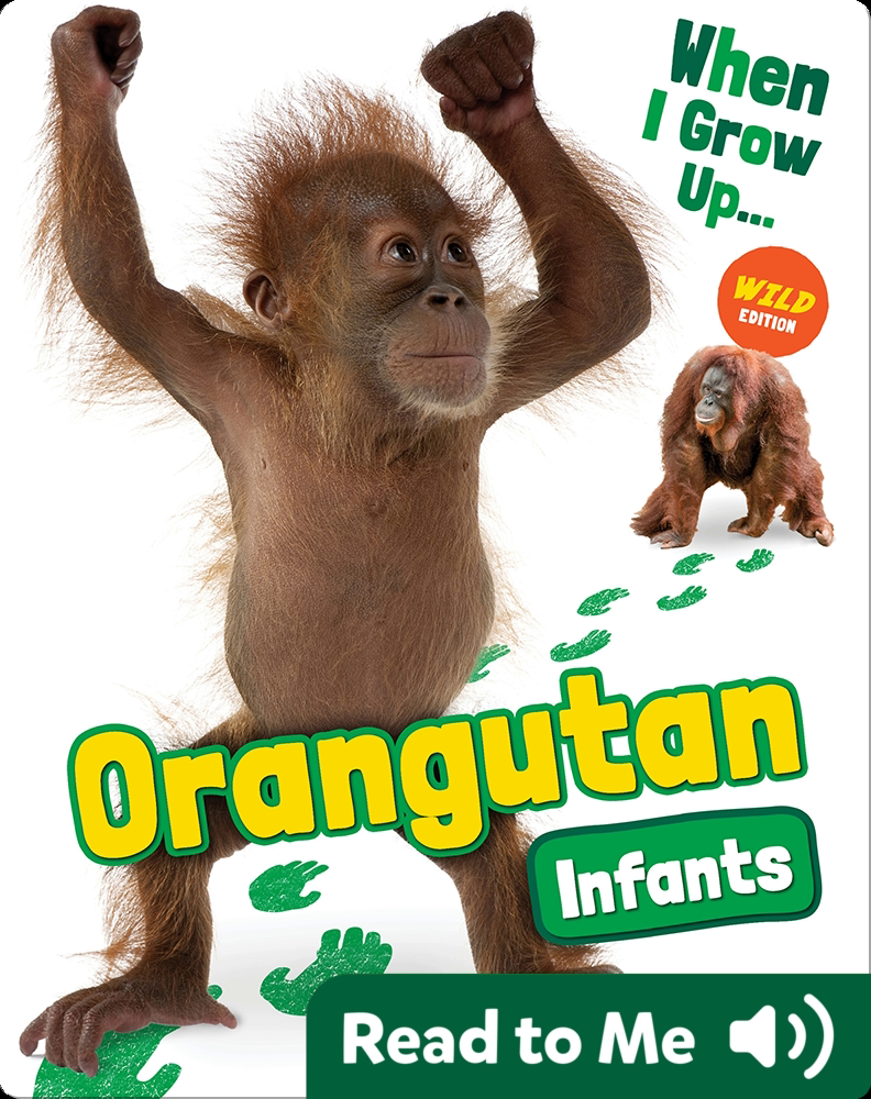 Orangutan Infants Book by Emmie Chang | Epic