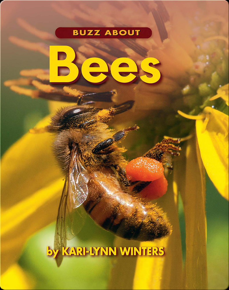 Buzz About Bees Book by Kari-Lynn Winters | Epic