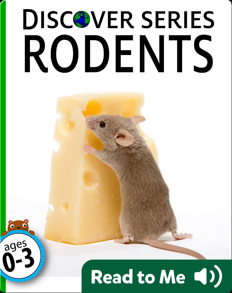 Rodents Book by Xist Publishing | Epic