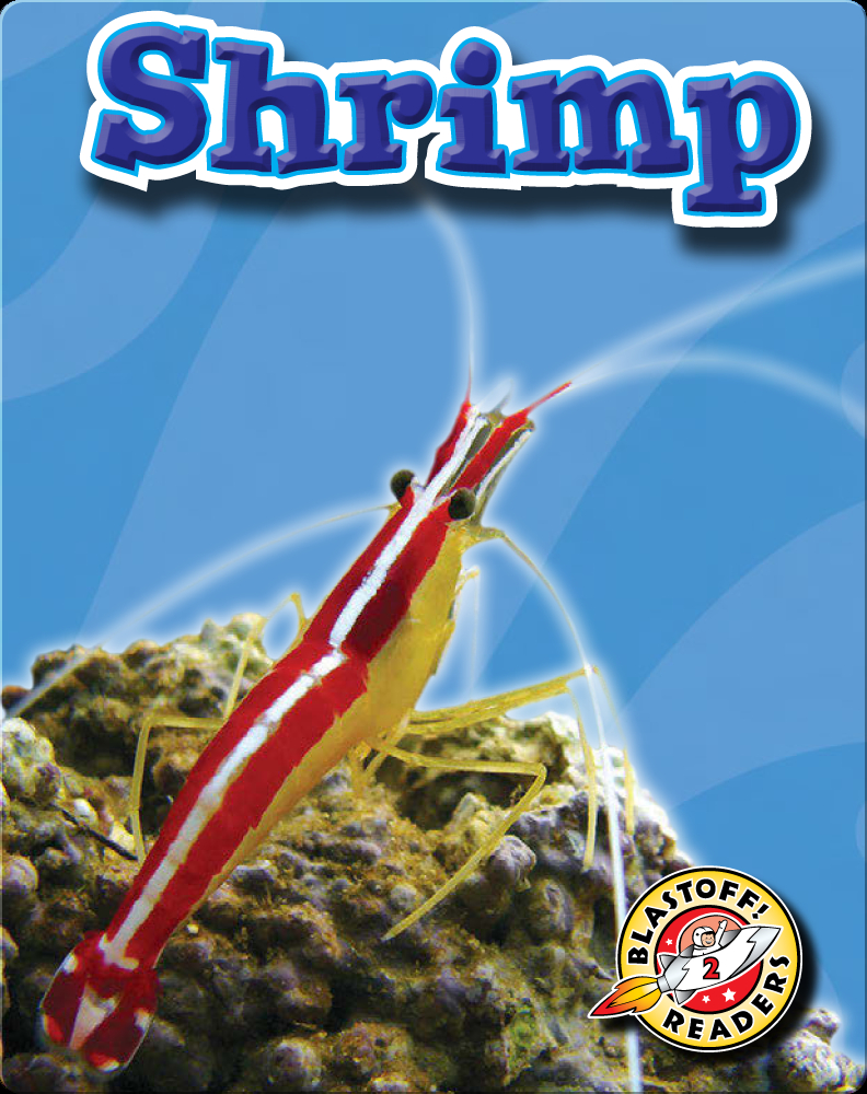 Shrimp: Oceans Alive Book by Colleen Sexton | Epic