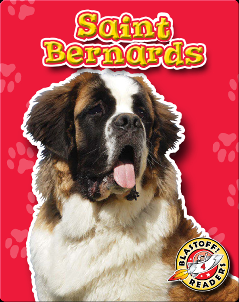 Saint Bernards: Dog Breeds Book by Anne Wendorff | Epic