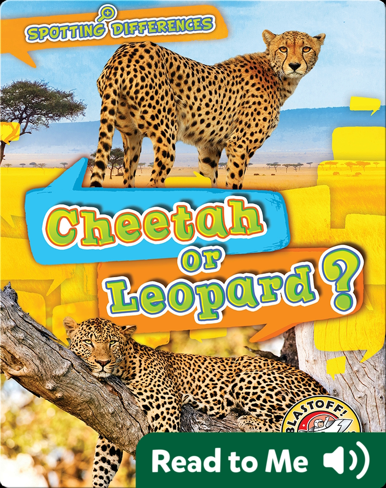 Cheetah or Leopard? Book by Kirsten Chang | Epic