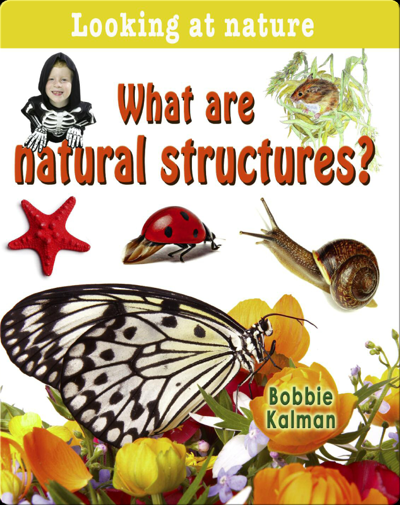 What are Natural Structures? Book by Bobbie Kalman | Epic