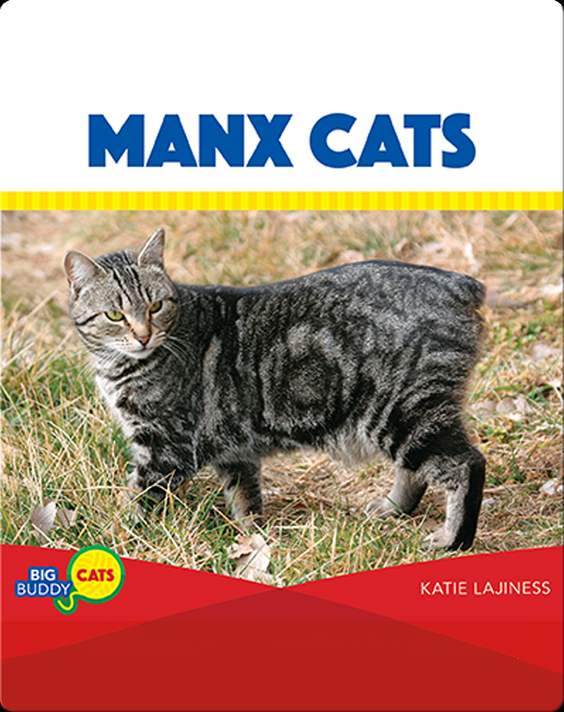 Manx Cats Book by Katie Lajiness | Epic