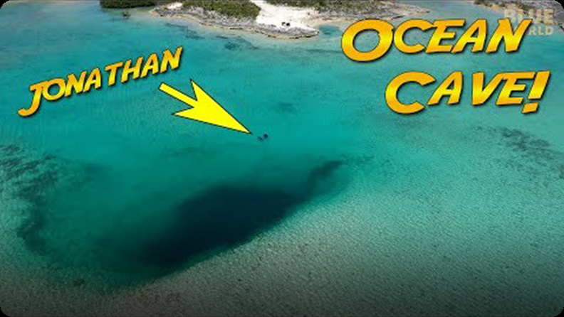 Jonathan Bird's Blue World: Ocean Cave Discovery! Video | Discover Fun ...