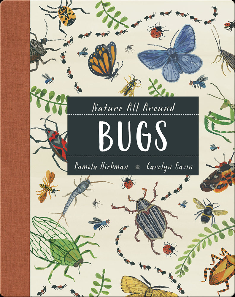 Nature All Around: Bugs Book by Pamela Hickman | Epic