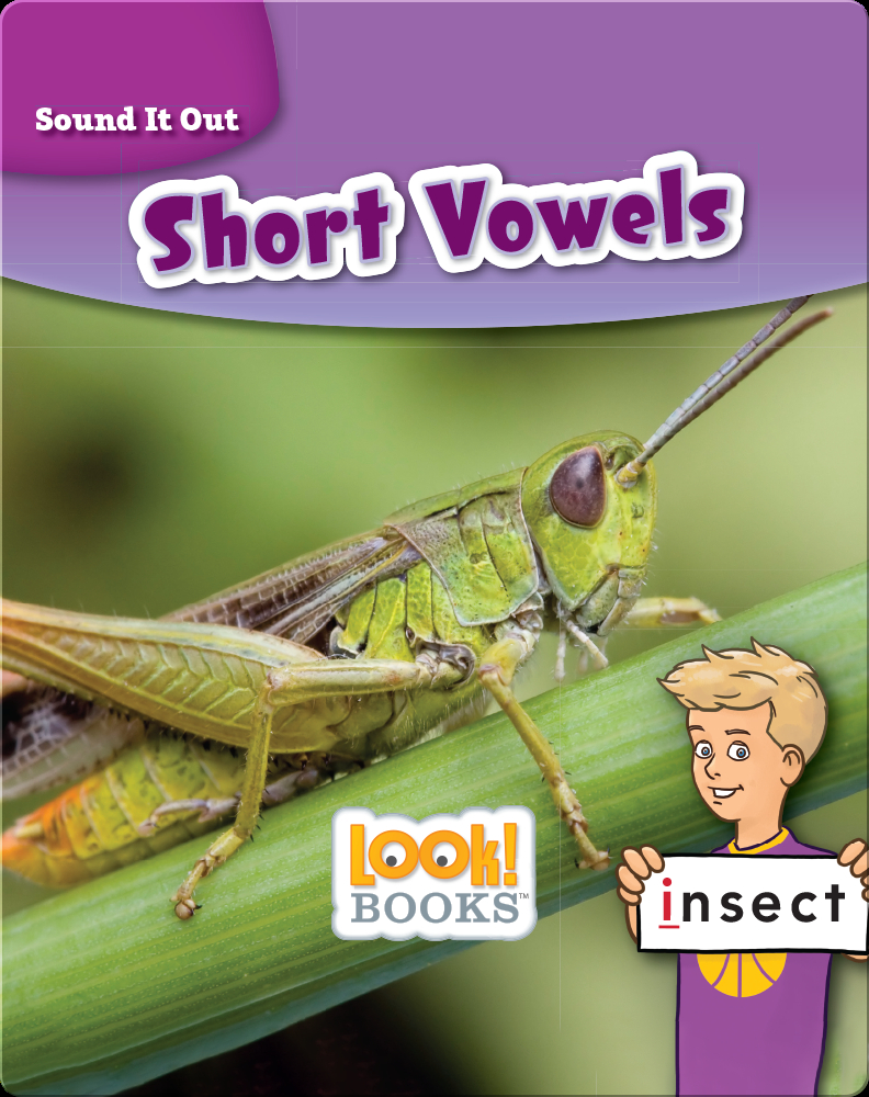 Sound It Out: Short Vowels Book by Wiley Blevins | Epic
