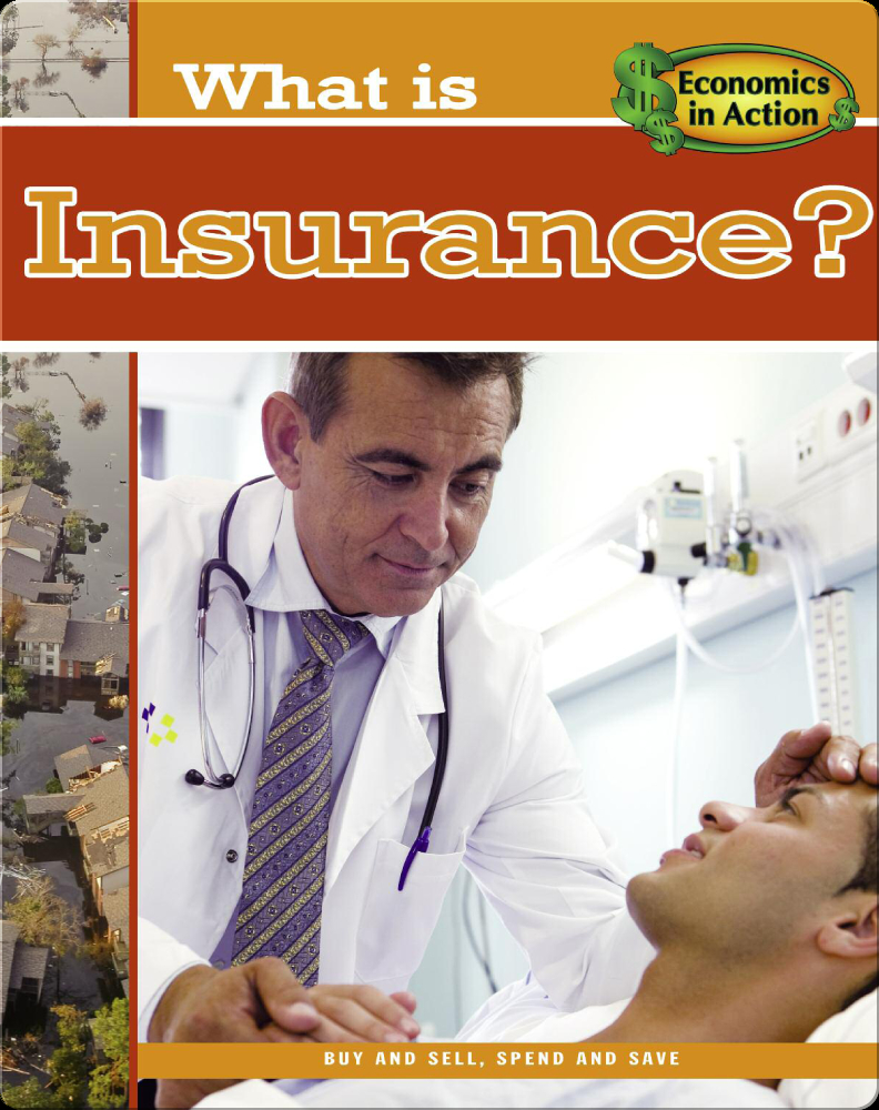 What is Insurance? Book by Baron Bedesky | Epic