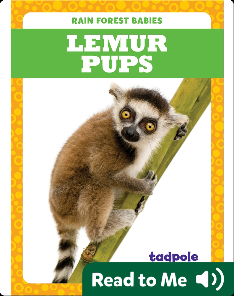Rain Forest Babies: Lemur Pups Book by Genevieve Nilsen | Epic