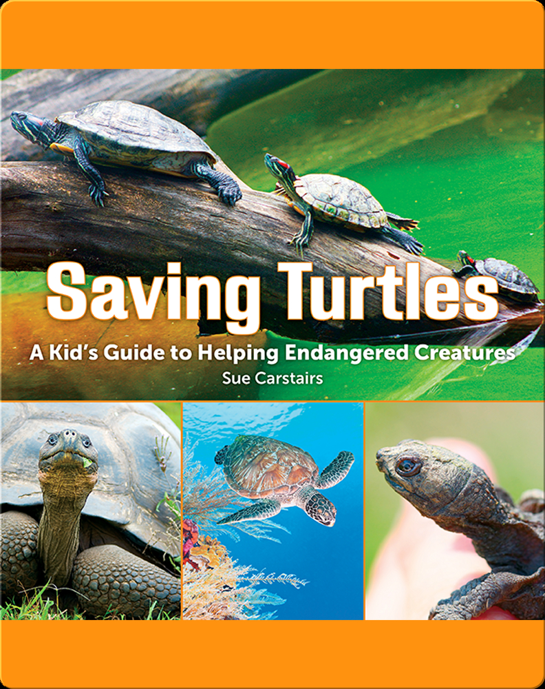 Saving Turtles: A Kids' Guide to Helping Endangered Creatures Book by ...