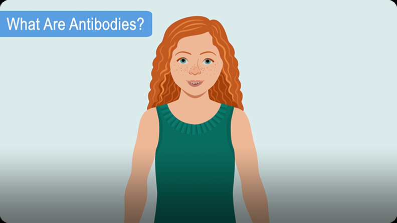 What Are Antibodies? Video | Discover Fun and Educational Videos That ...