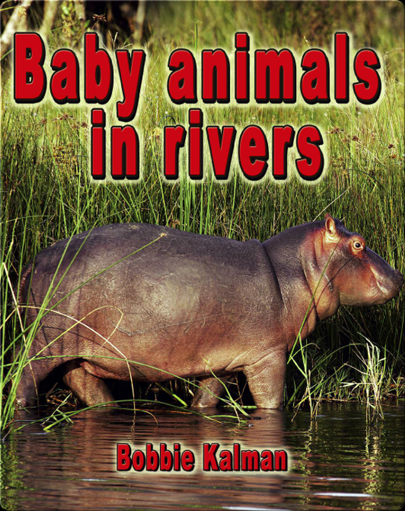 Baby Animals in Rivers Book by Bobbie Kalman | Epic