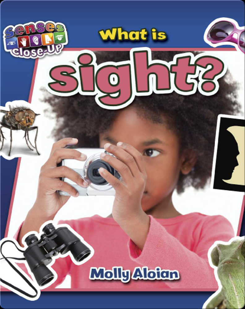 What is Sight? Book by Molly Aloian | Epic