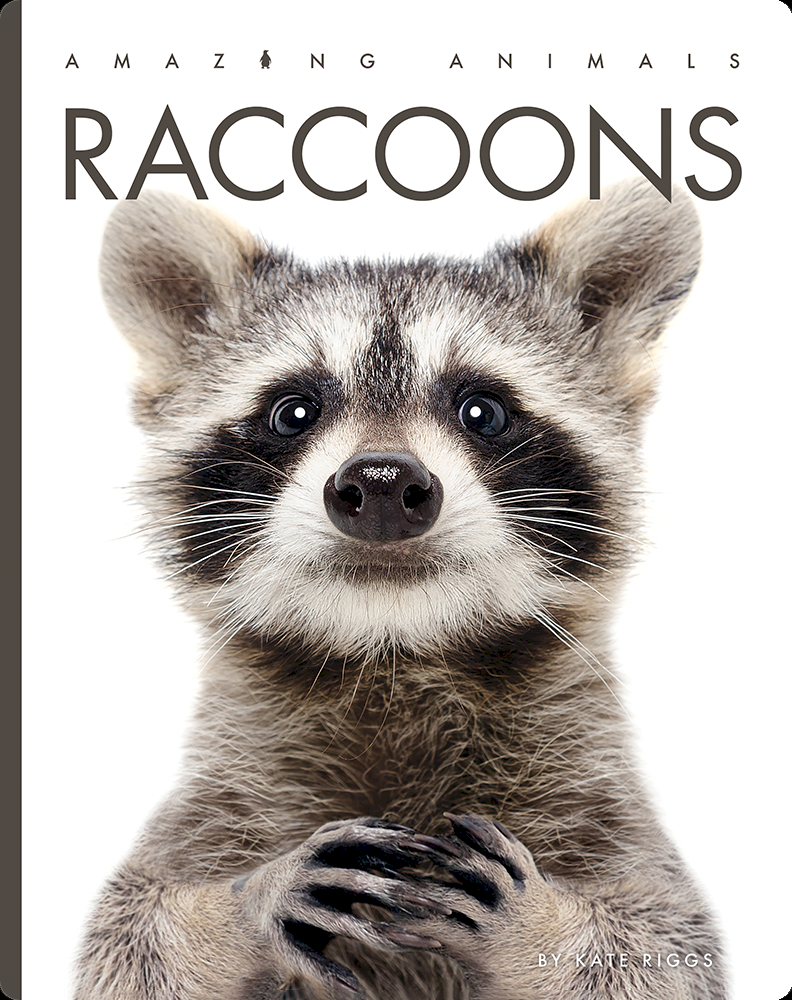 Amazing Animals: Raccoons Book by Kate Riggs | Epic