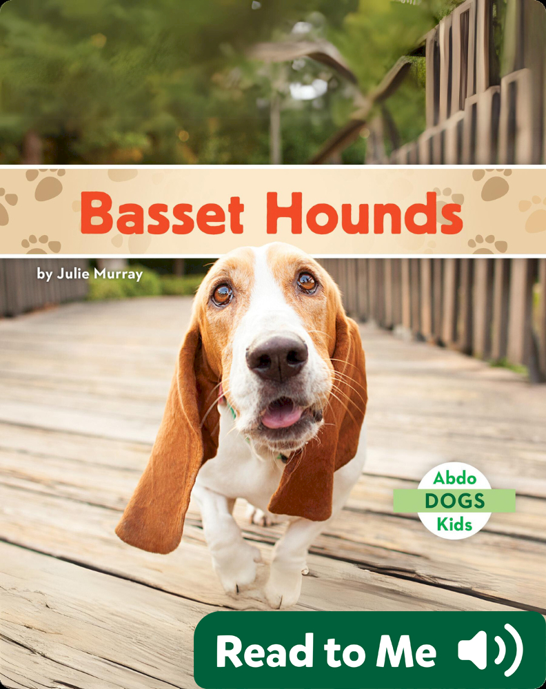 Basset Hounds Book by Julie Murray | Epic
