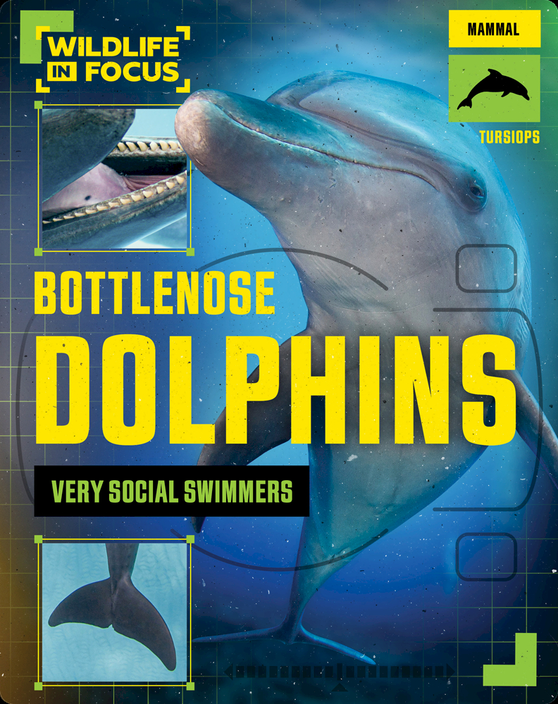 Bottlenose Dolphins: Very Social Swimmers Book by Jon Alan | Epic