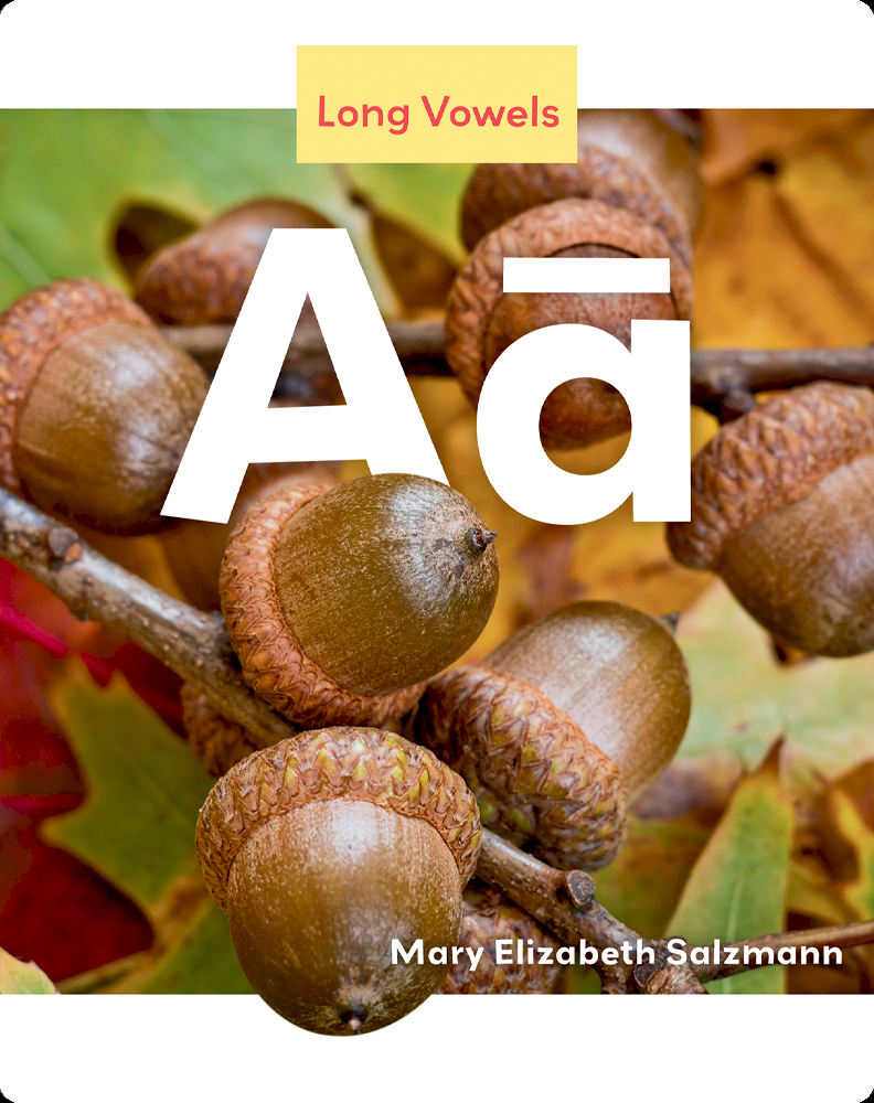 AA Book by Salzmann, Mary Elizabeth | Epic