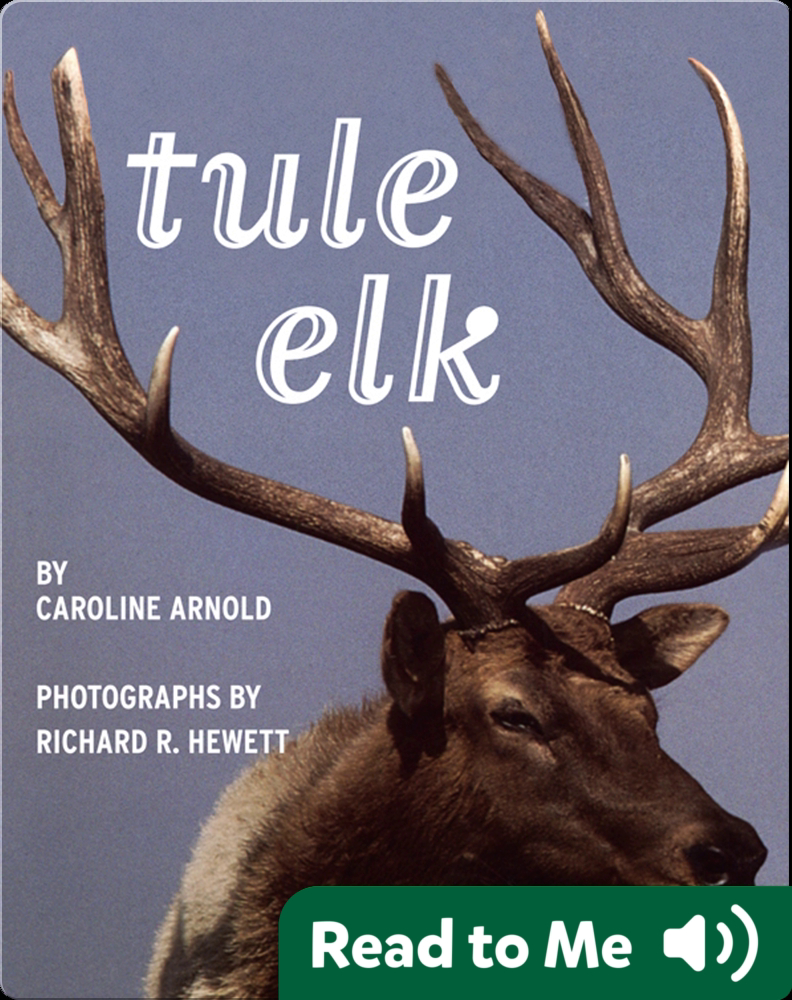 Tule Elk Book by Caroline Arnold | Epic