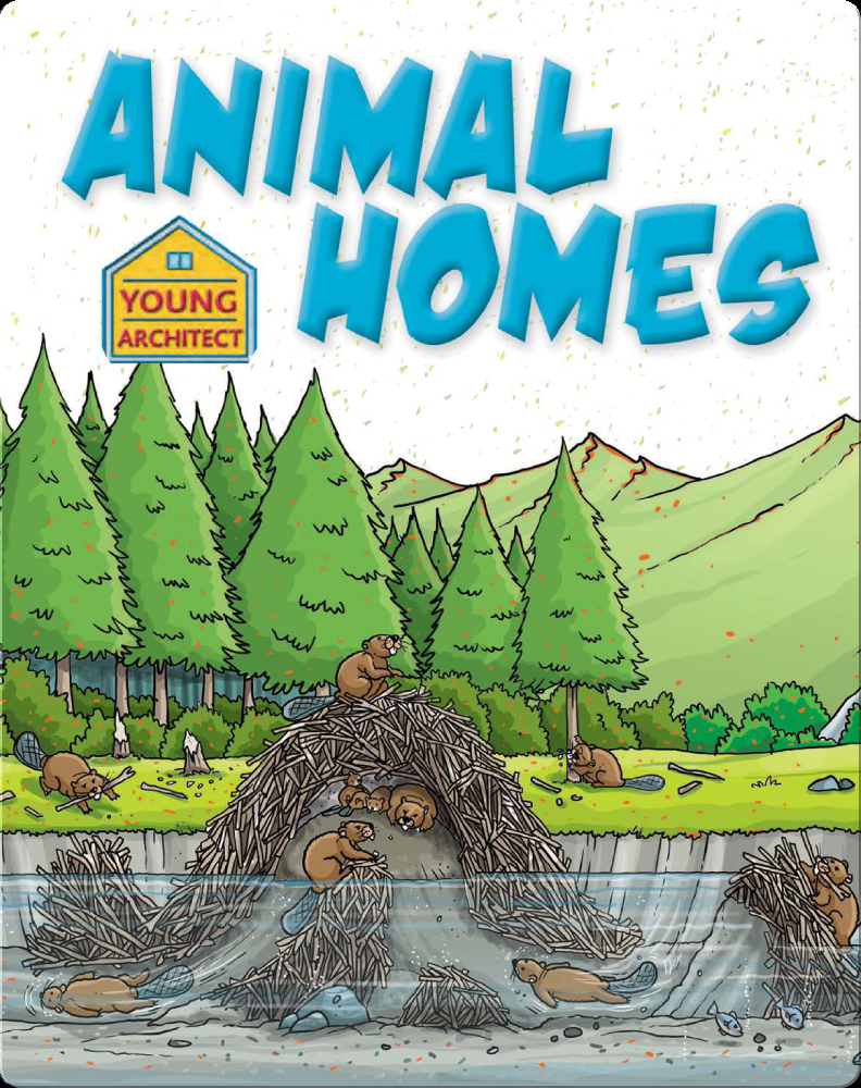 Animal Homes Book by Saranne Taylor | Epic