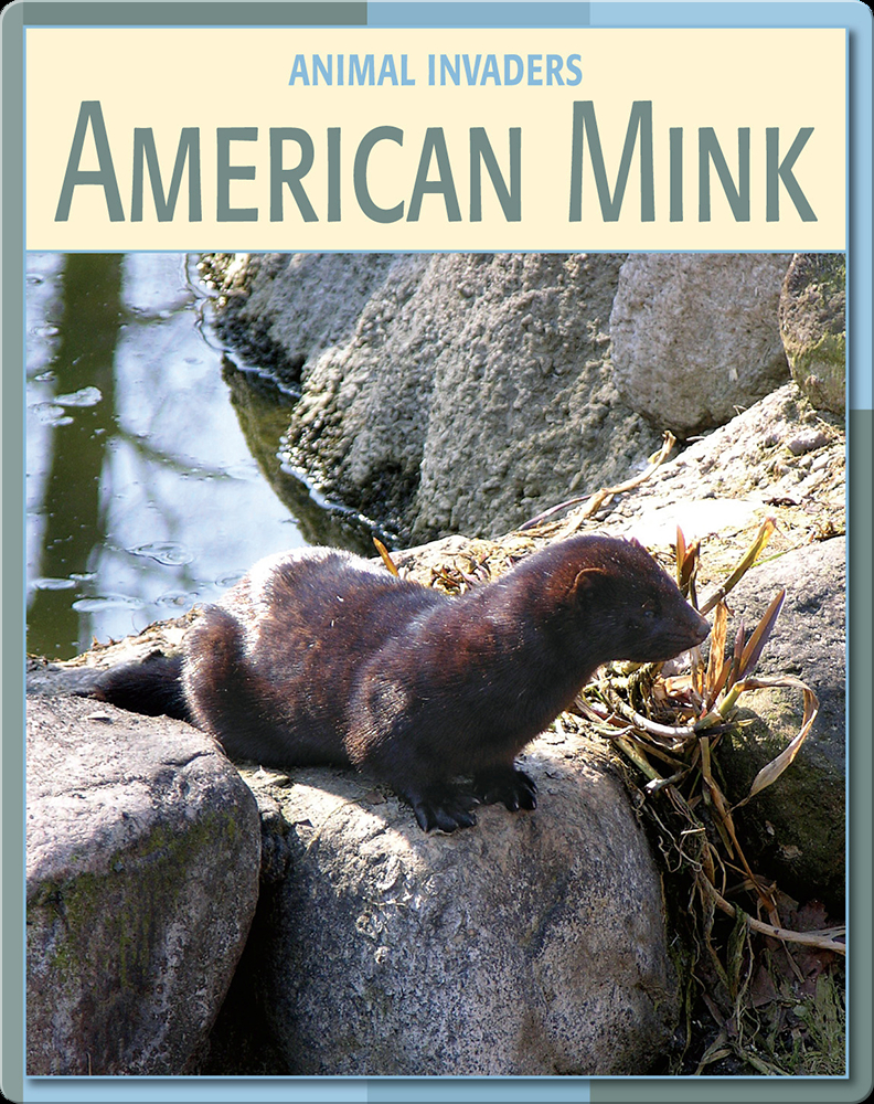 Animal Invaders: American Mink Book by | Epic