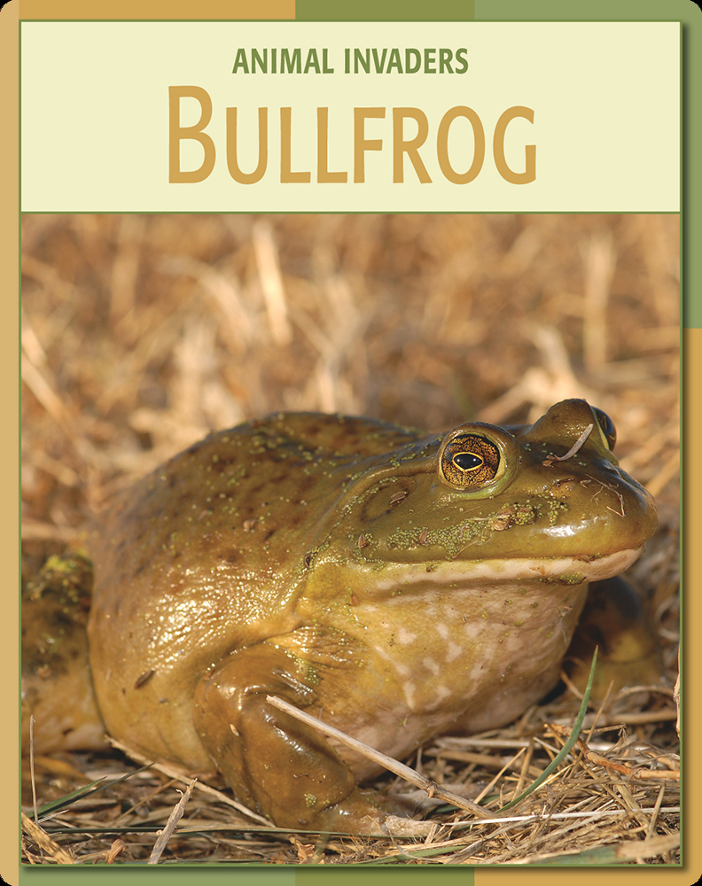 Animal Invaders: Bullfrog Book by | Epic