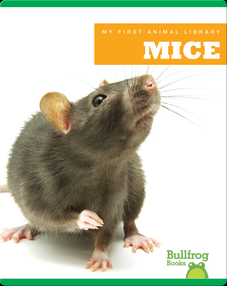 My First Animal Library: Mice Book by Martha E. H. Rustad | Epic