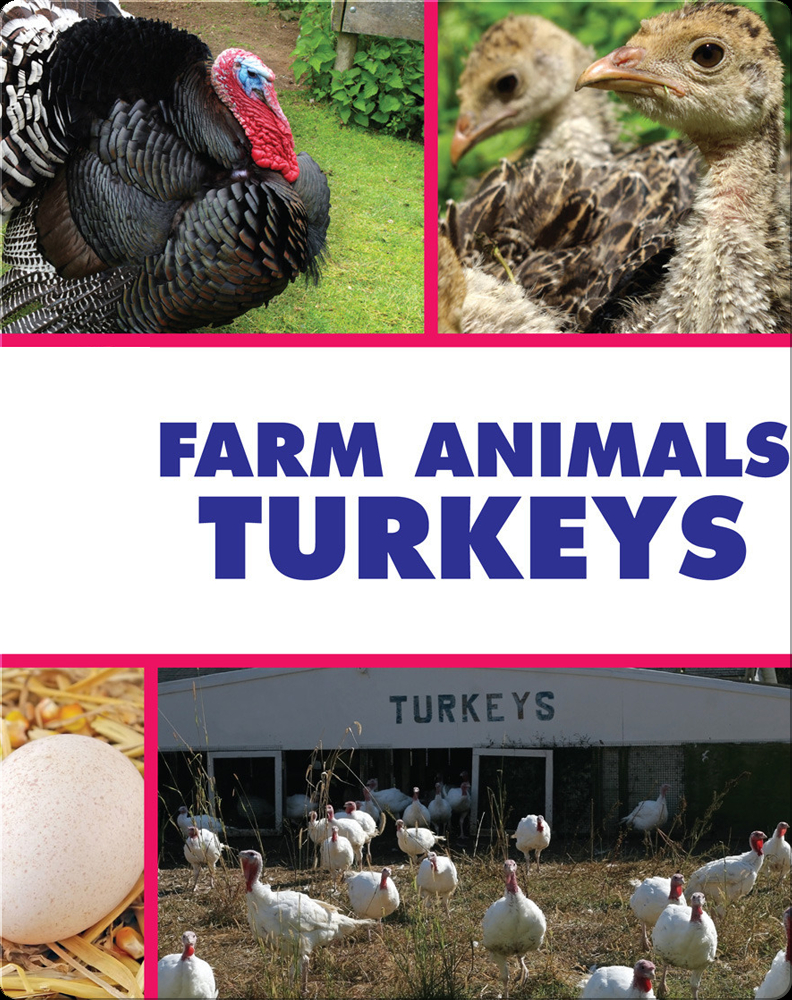 Farm Animals: Turkeys Book by Katie Marsico | Epic