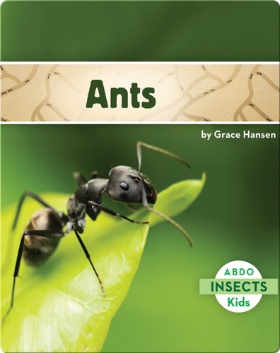 Insects: Ants Children's Book Collection | Discover Epic Children's ...