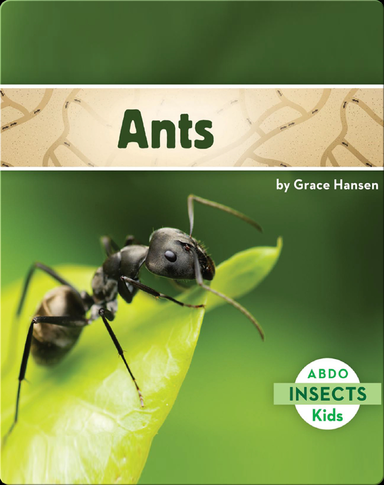 Ants Book by Grace Hansen | Epic