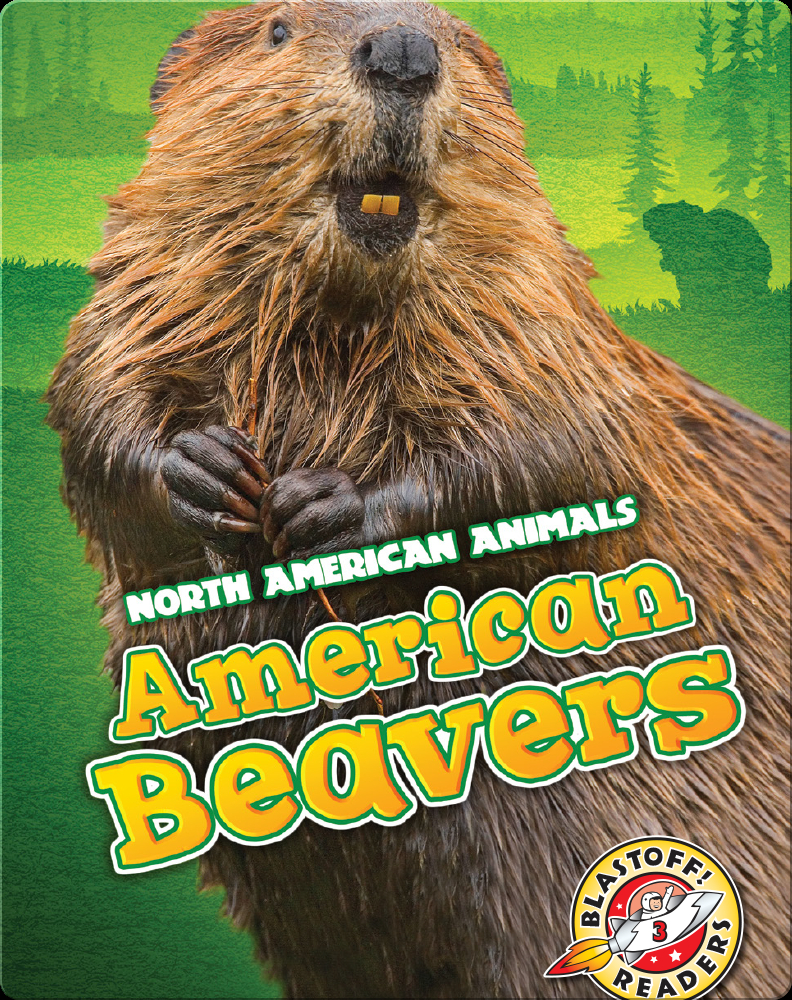 North American Animals: American Beavers Book by Megan Borgert-Spaniol ...