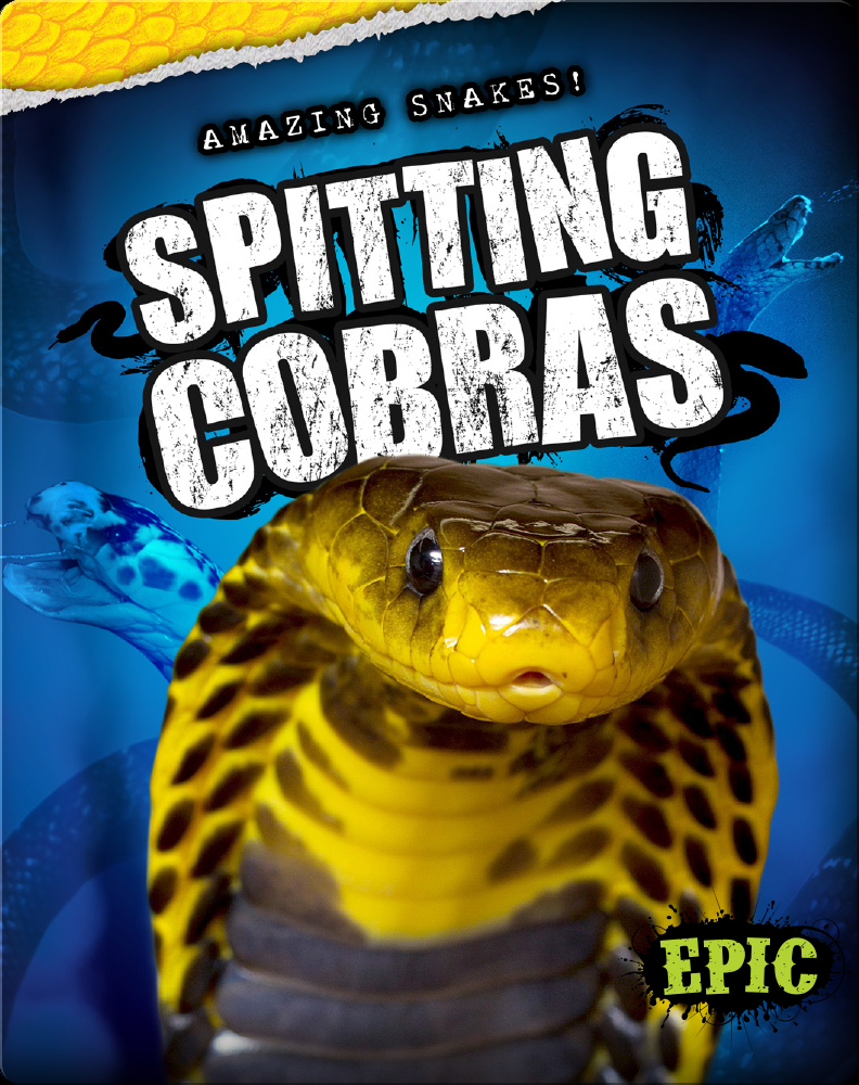 Amazing Snakes! Spitting Cobras Book by Emily Rose Oachs | Epic