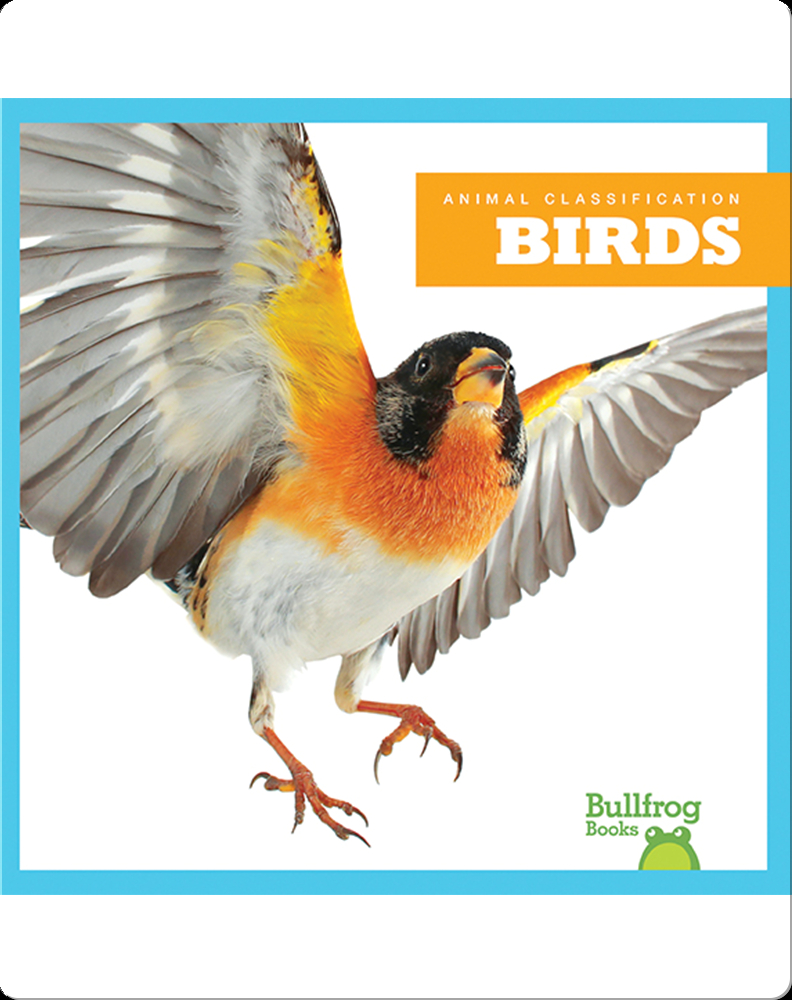 Animal Classification: Birds Book by Erica Donner | Epic