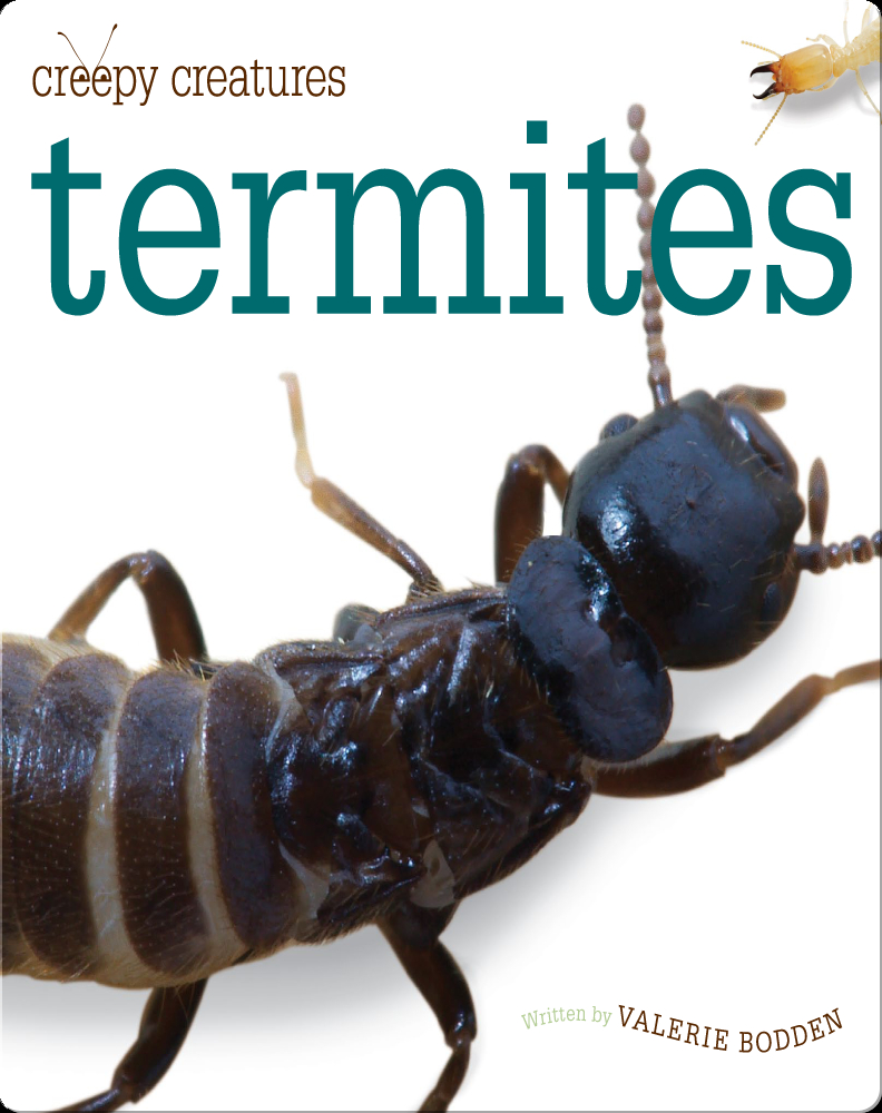 Termites Book by Valerie Bodden | Epic