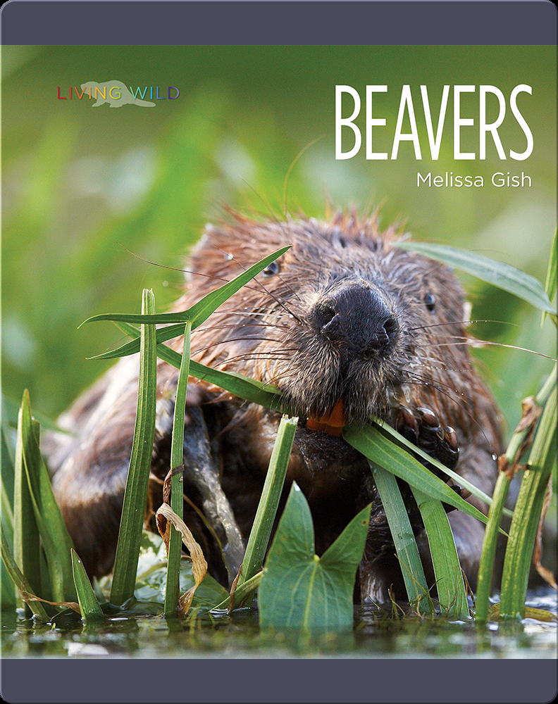 Beavers Book by Melissa Gish | Epic