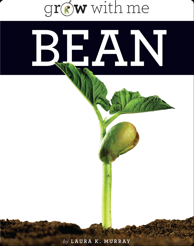 Bean Book by Laura K. Murray | Epic