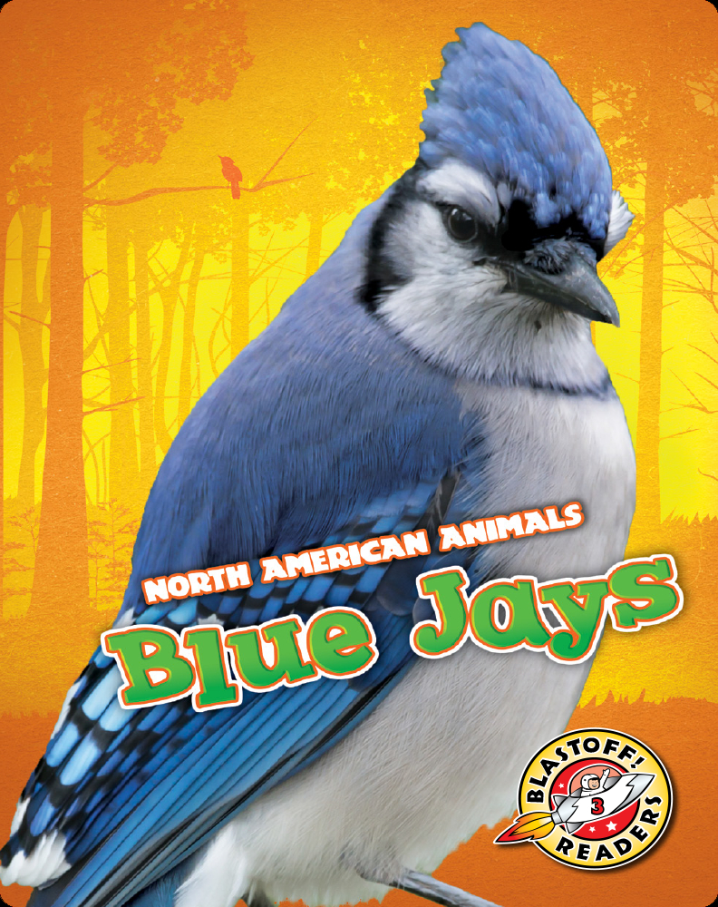 North American Animals: Blue Jays Book by Betsy Rathburn | Epic