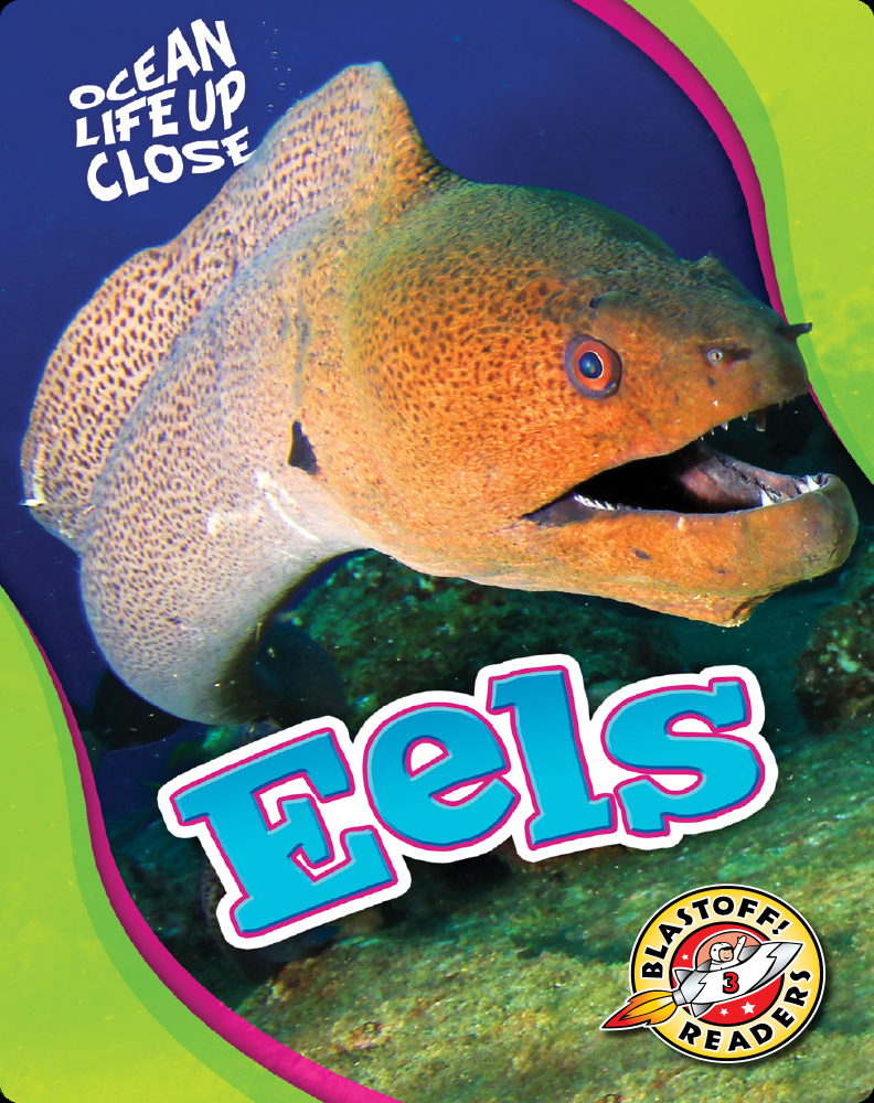 Ocean Life Up Close: Eels Book by Nathan Sommer | Epic