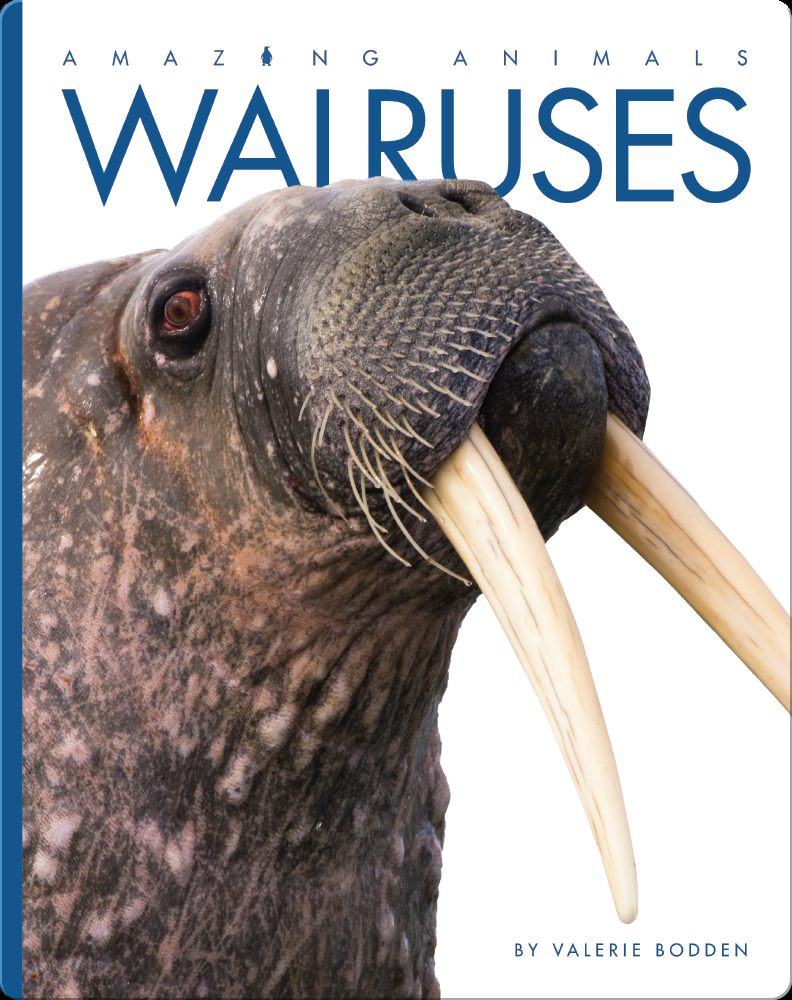 Walruses Book by Valerie Bodden | Epic