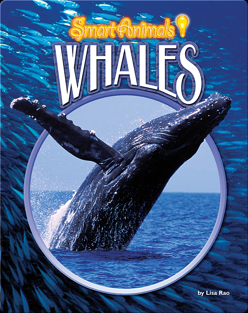 Whales Book by Lisa Rao | Epic