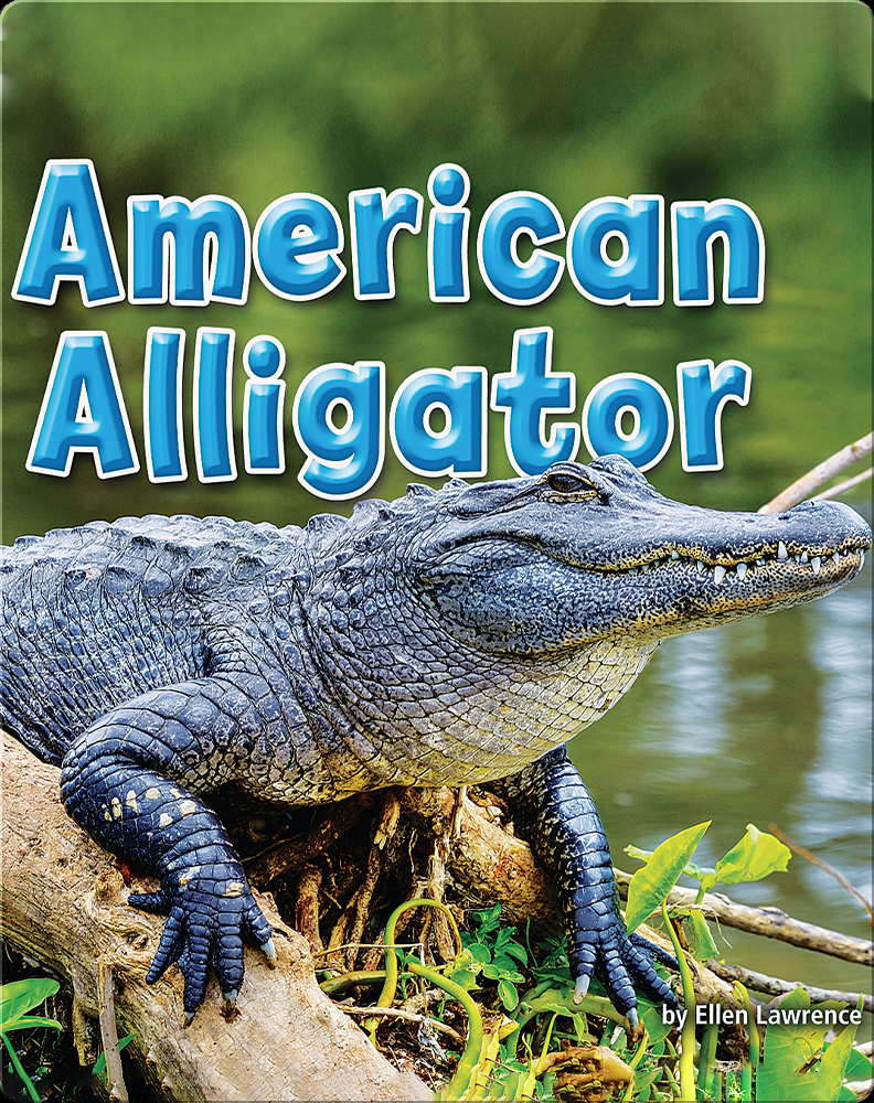 American Alligator Book by Ellen Lawrence | Epic