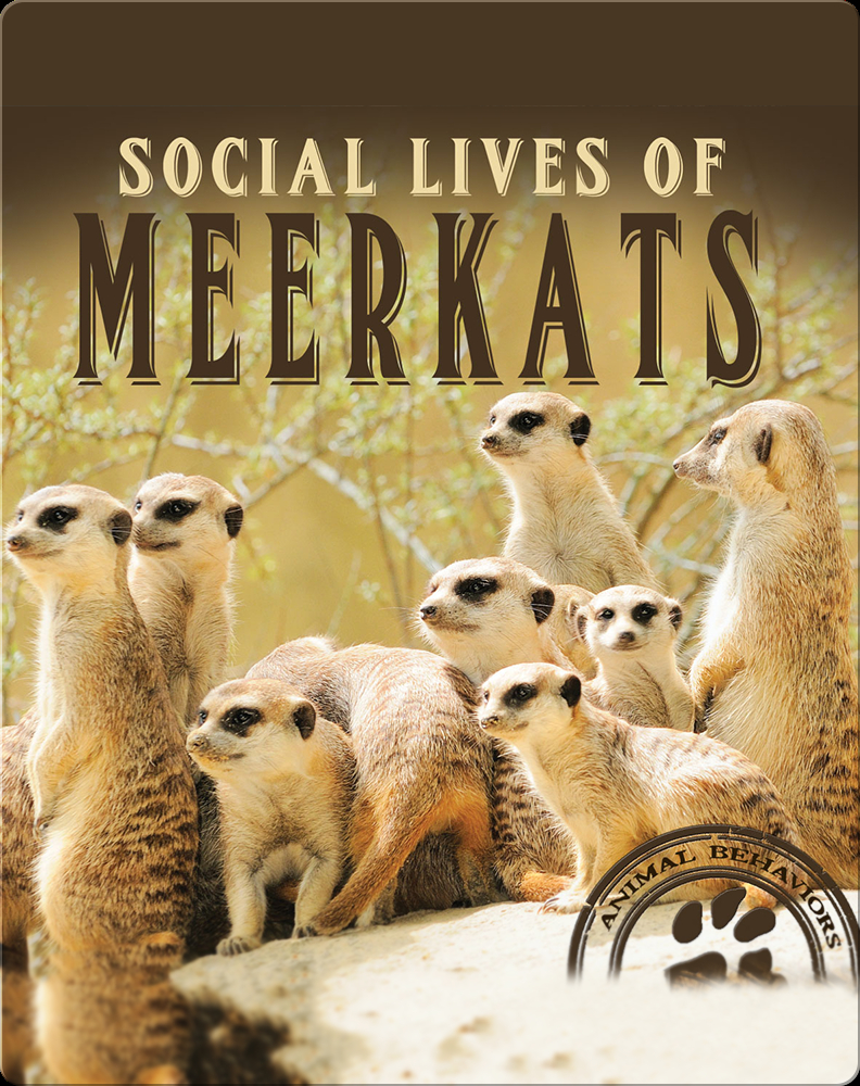 Social Lives of Meerkats Book by Rachel M. Wilson | Epic