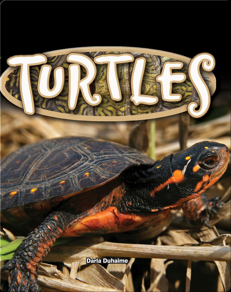 Turtles Book by Darla Duhaime | Epic