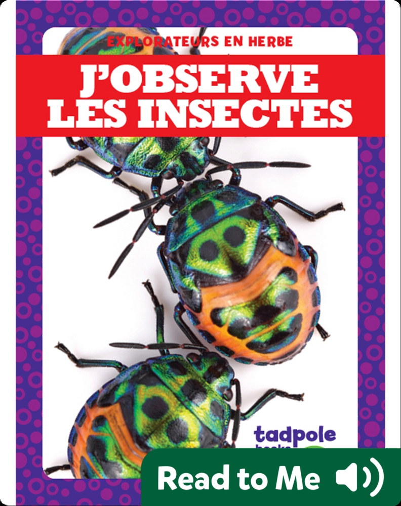 J’observe les insectes Book by Tim Mayerling | Epic