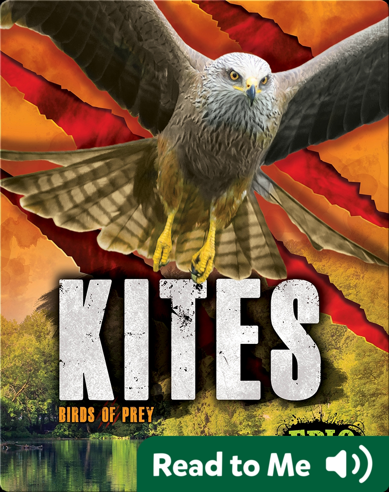 Kites Book by Nathan Sommer | Epic