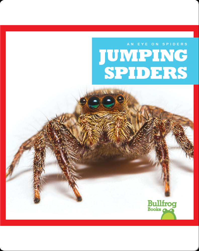 Jumping Spiders Book by Jenna Lee Gleisner | Epic